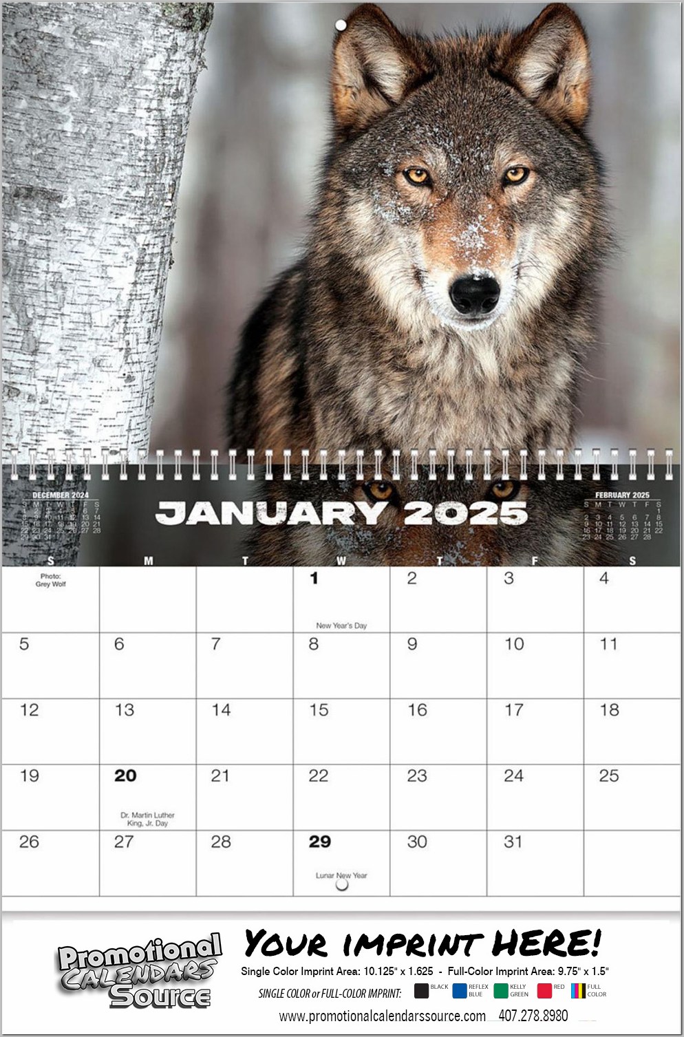 North America Wildlife Wall Calendar - Spiral