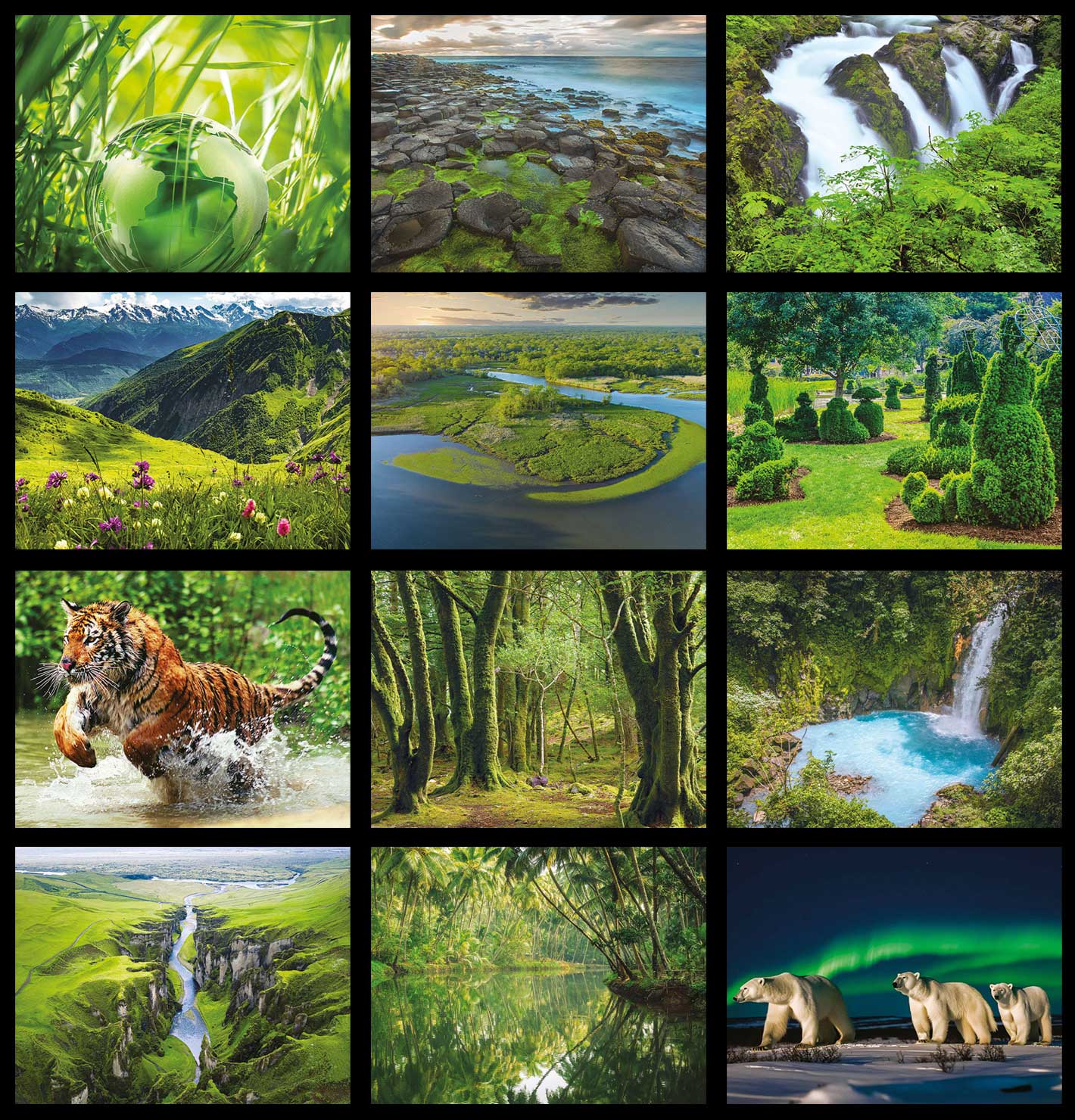 Go Green Environmental Calendar
