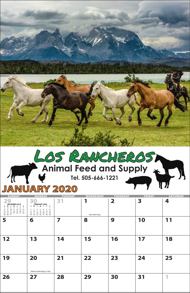 13-Month Custom Photo Calendar | 11x17 Full-Color UV Coated ...